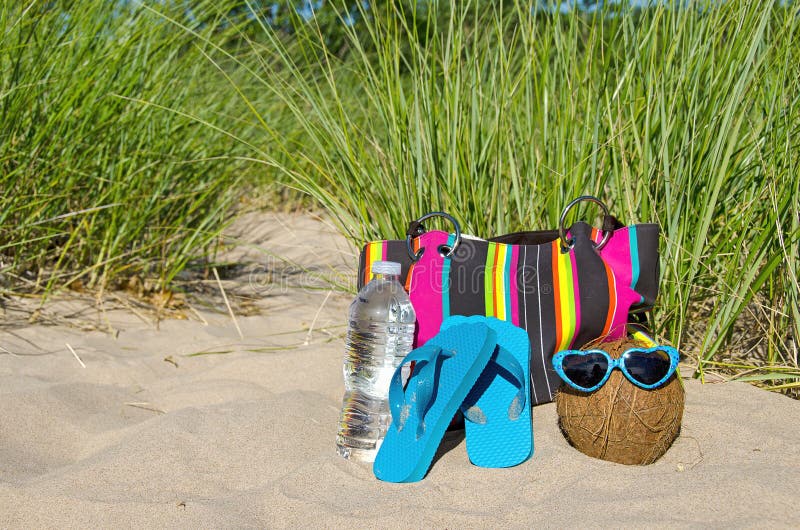 Coco con las gafas de sol foto de archivo. Imagen de costa - 32544348