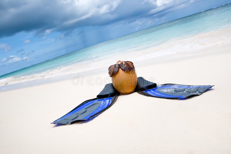 Coco Con Las Gafas De Sol Negras Y Las Aletas Azules Imagen de archivo ...