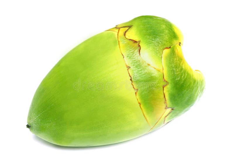 Coco del bebé foto de archivo. Imagen de coco, tiro, granada - 28561820