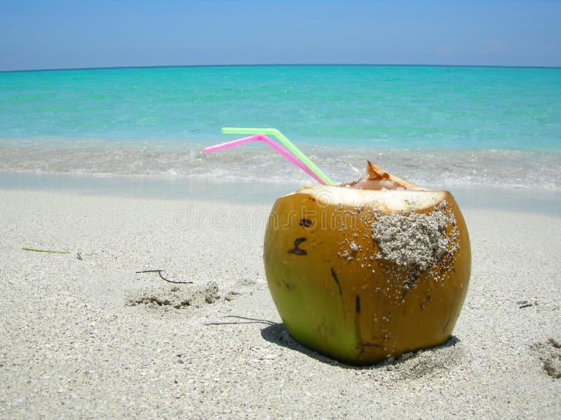 Playa caribeña de coco foto de archivo. Imagen de relajante - 2756760