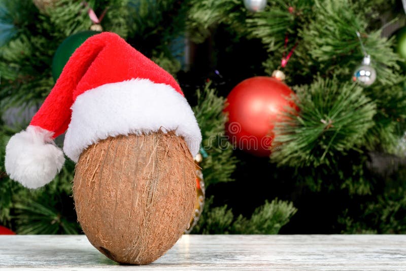 Coco En Playa Tropical De La Arena Del Sombrero De Santa Christmas ...