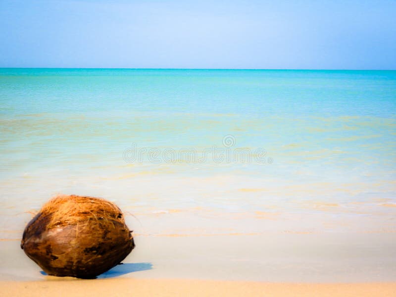 Coco en la playa imagen de archivo. Imagen de andaman - 107490185