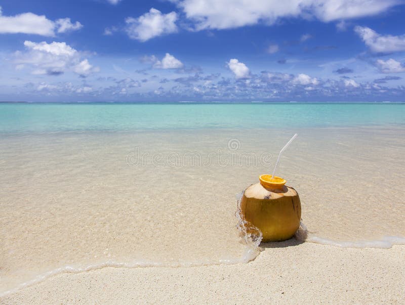 Coco en la playa foto de archivo. Imagen de perfecto - 33510626