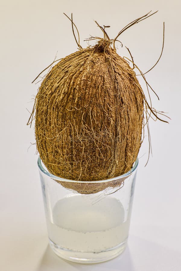 Coco en un vaso imagen de archivo. Imagen de vegano - 268823571