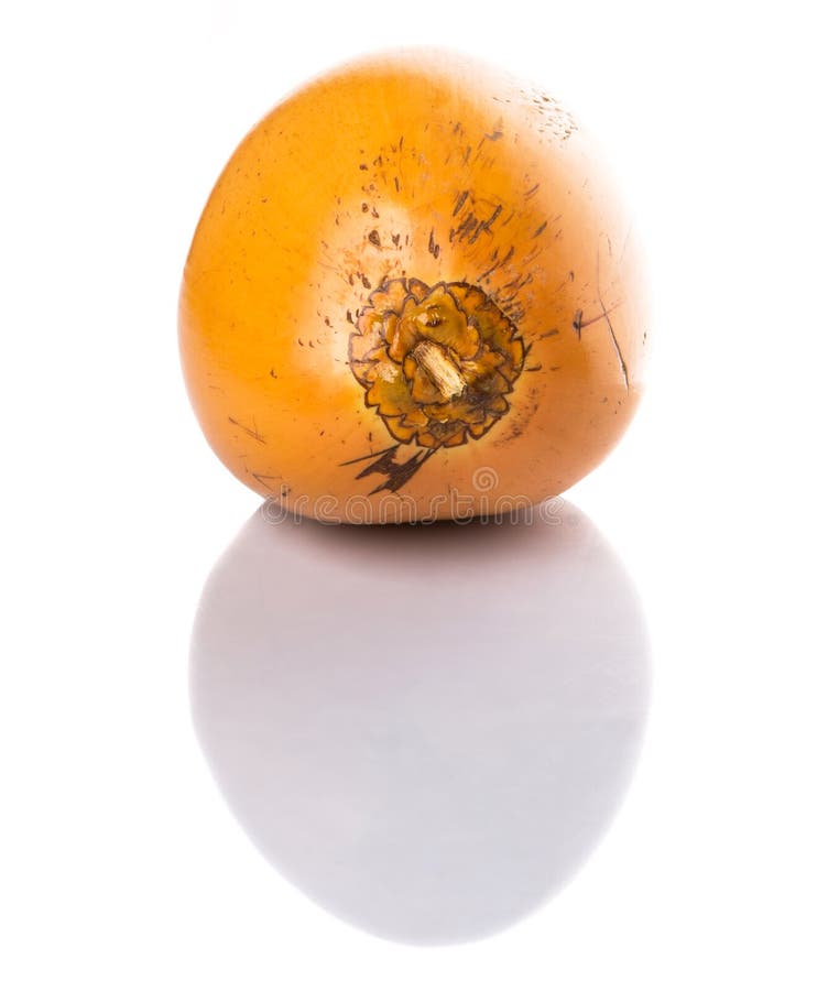 151 Coco Enano Fotos de stock - Fotos libres de regalías de Dreamstime