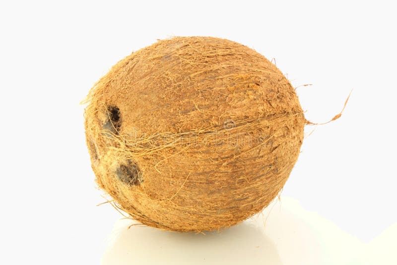 Coco entero foto de archivo. Imagen de roto, alimento - 35241836