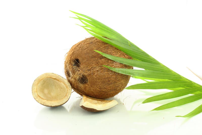 Coco Entero Con El Coco Seco Imagen de archivo - Imagen de agua, secado ...