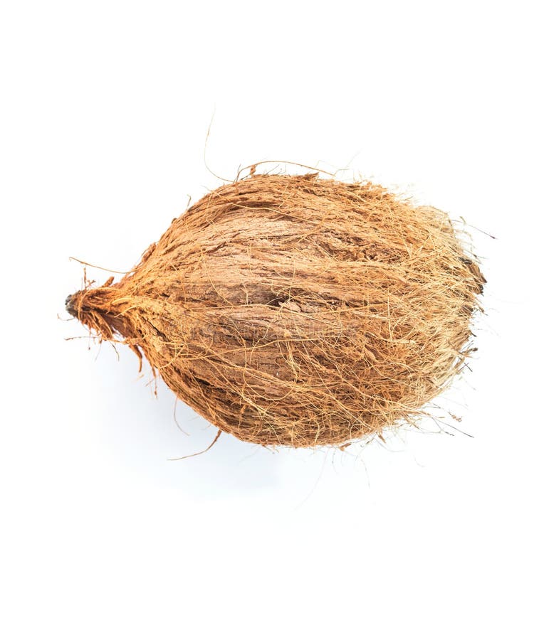 Coco entero sobre blanco. imagen de archivo. Imagen de fresco - 208411991