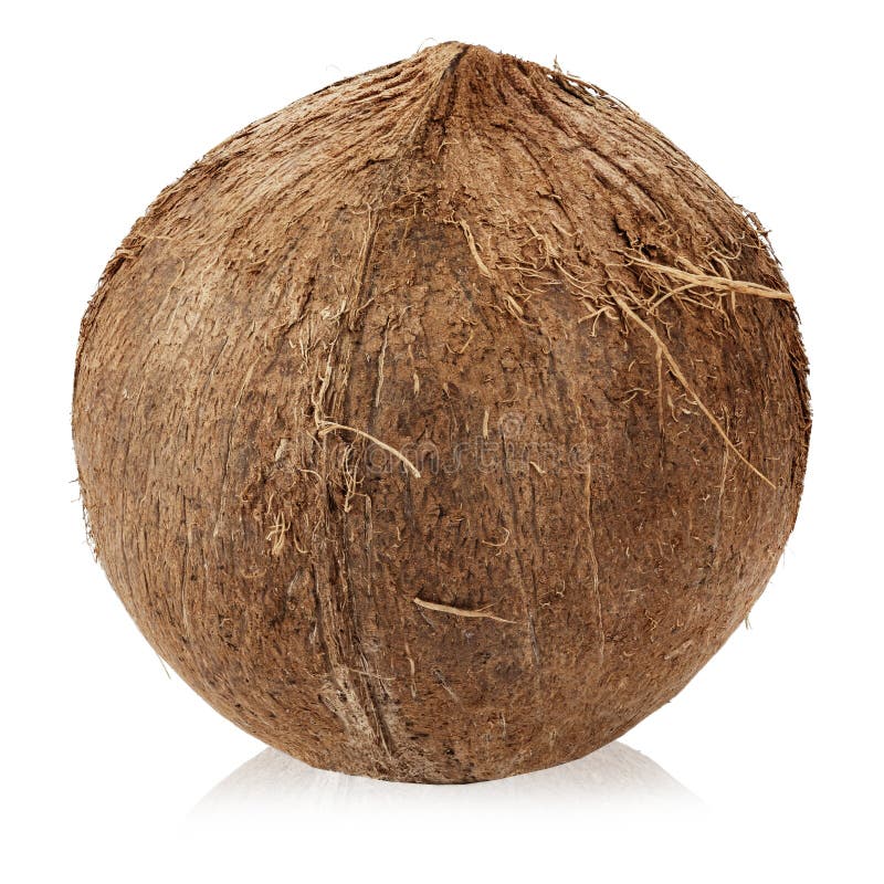 Coco entero aislado imagen de archivo. Imagen de palma - 114548495