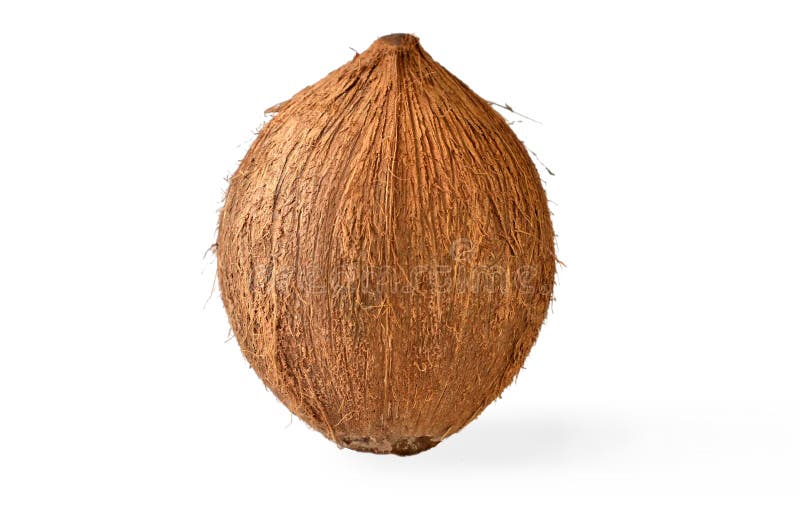 Coco - fruta tropical imagen de archivo. Imagen de aislado - 30398727