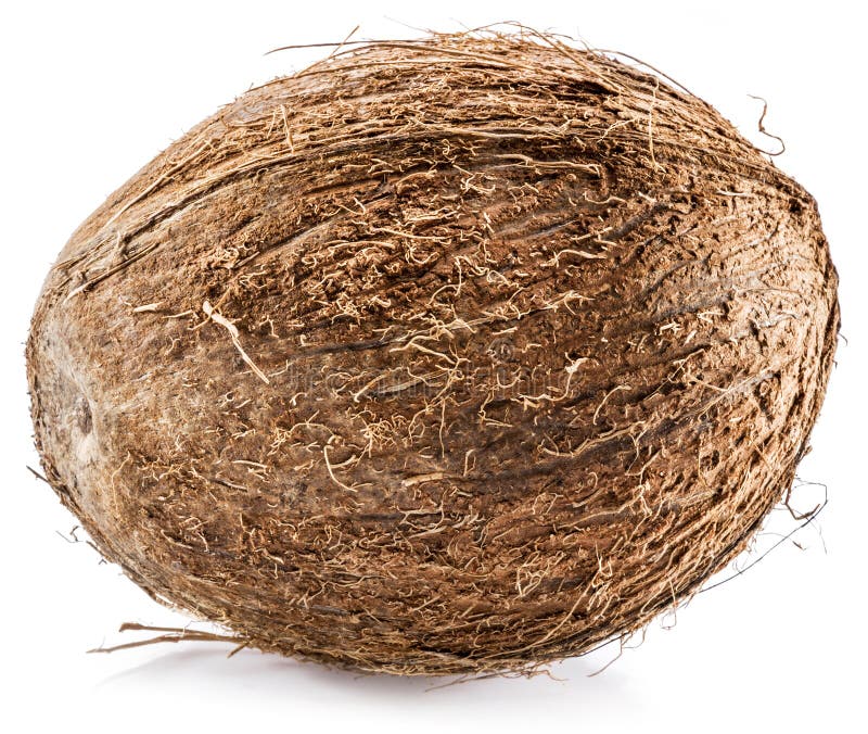 Coco Grande Fruta Tropical Castanha Isolada Em Fundo Branco Imagem de ...