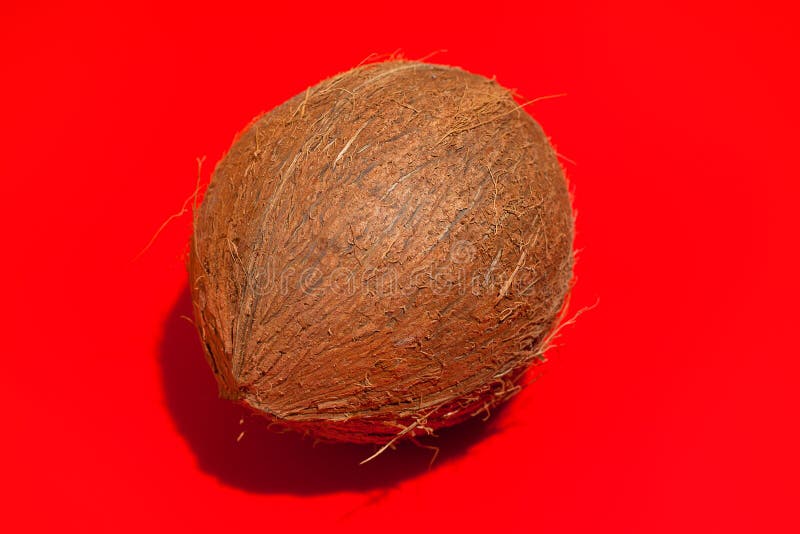 Coco Maduro En Fondo Amarillo Concepto Tropical Imagen de archivo ...