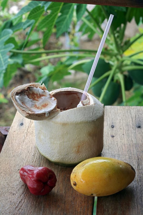 Coco, mango and pear stock image. Image of cocktail, tropical - 4434945