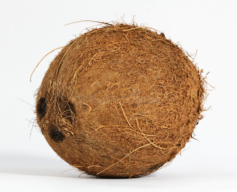 Coco (nucifera de Cocus) foto de stock. Imagem de nutritivo - 22622224