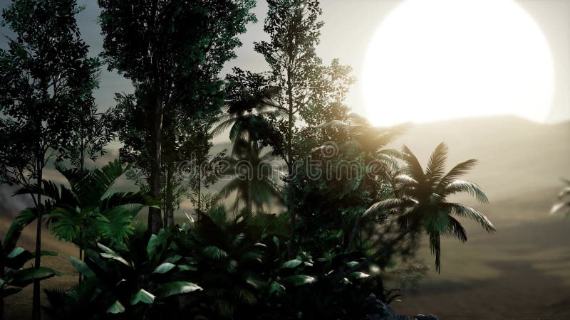 Coco Palm Trees Tropical Landscape 10 Stock Video - Video of ocean ...