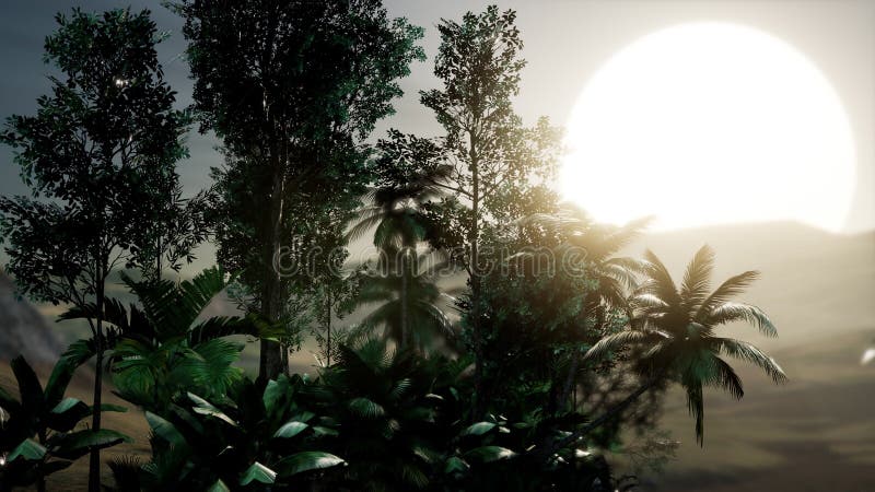 Coco Palm Trees Tropical Landscape Stock Illustration - Illustration of ...