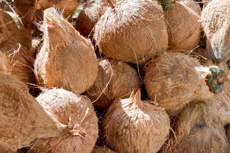 Coco pelado imagen de archivo. Imagen de cubo, fresco - 26828207