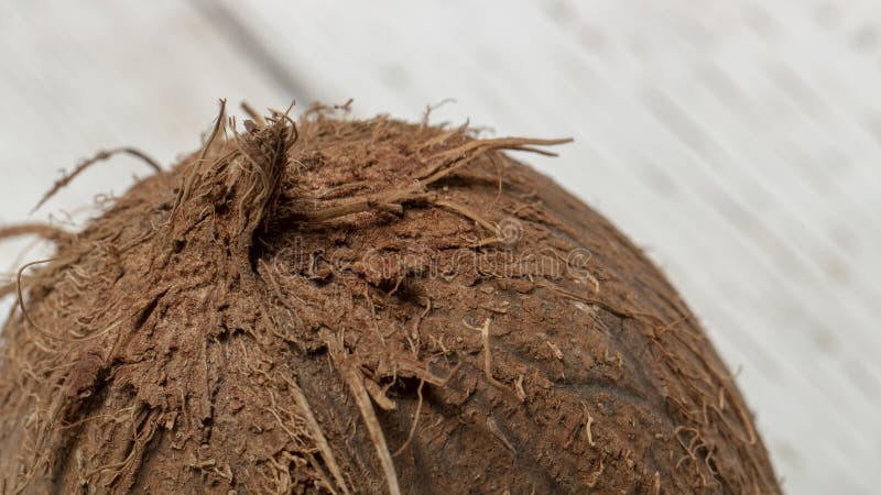 Coco Pelado Entero En La Tabla De Madera Vieja Imagen de archivo ...