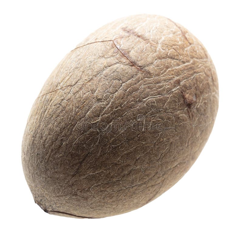 Coco Picado Aislado Sobre Un Blanco Imagen de archivo - Imagen de ...