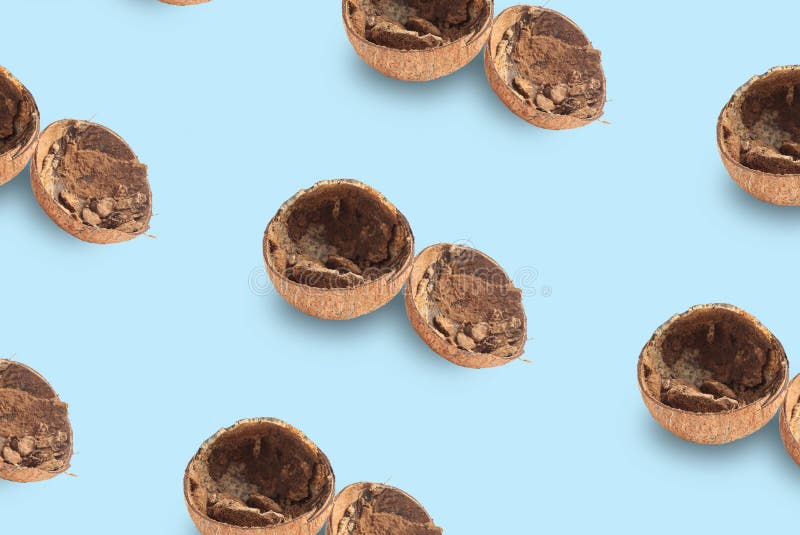 Coco podre imagem de stock. Imagem de completamente, cabeleira - 62292653