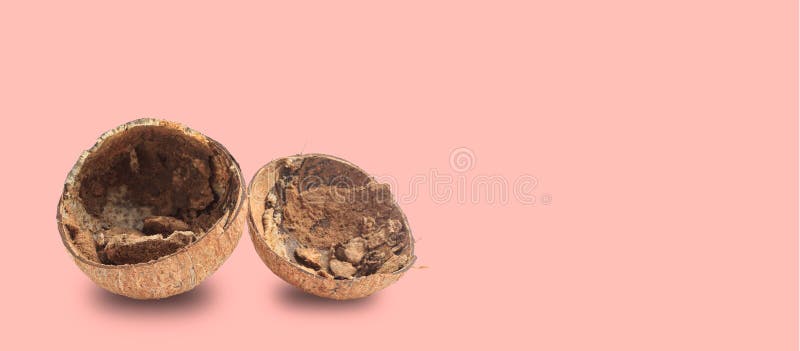 Coco podre imagem de stock. Imagem de completamente, cabeleira - 62292653