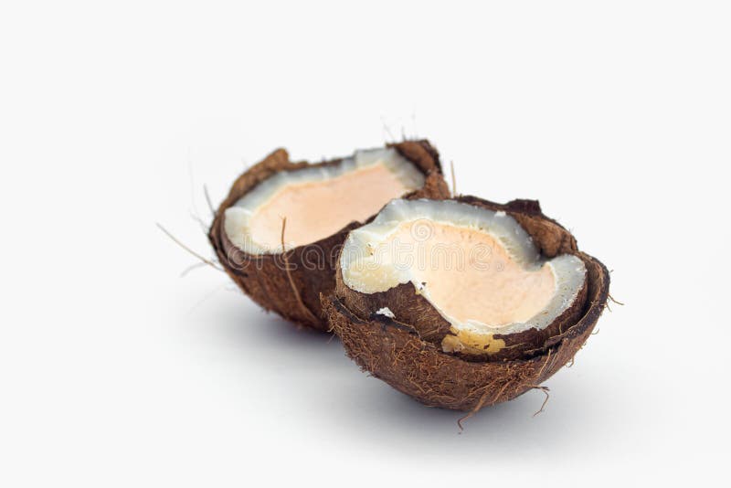 Coco Podrido Con Fondo Natural Foto de archivo - Imagen de travieso ...