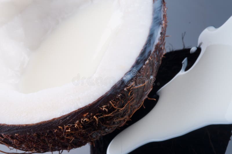 Coco pulp stock image. Image of cleaved, pulp, coco, coconut - 12933271