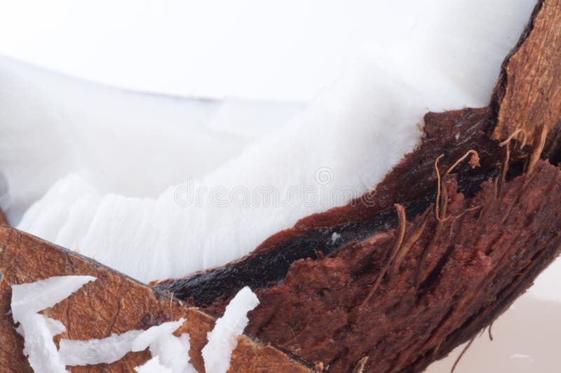 Coco pulp. stock image. Image of cleaved, plant, stone - 8732667