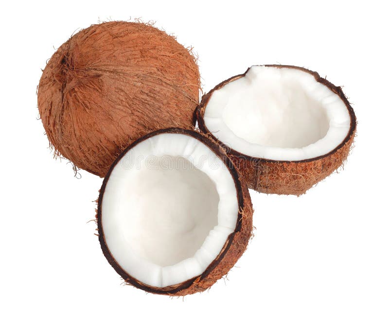 Coconut fruit stock photo. Image of organic, color, open - 7121164