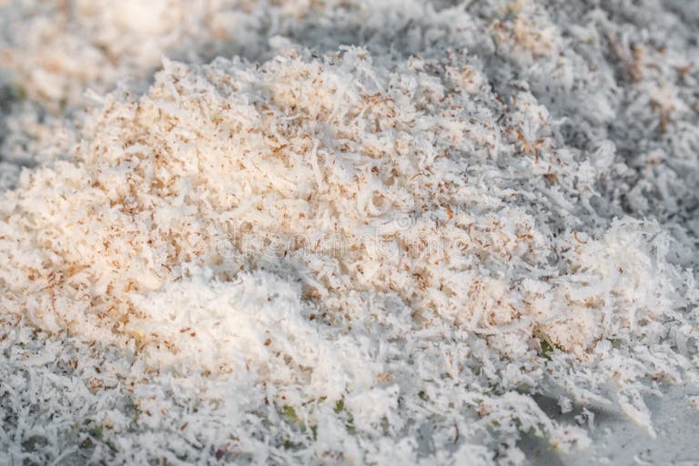 Coco raspado imagem de stock. Imagem de fragrância, retalhado - 31299089