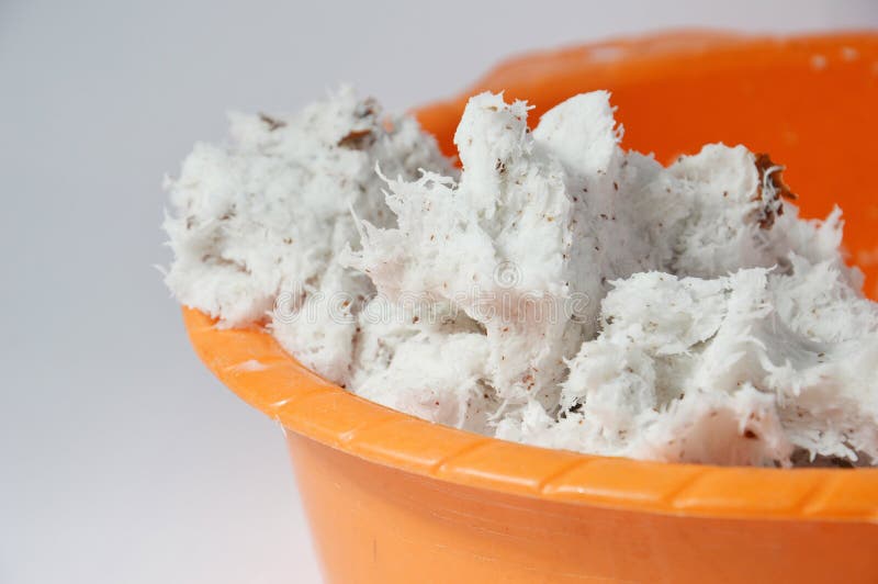 Coco raspado foto de stock. Imagem de marrom, cocos, ingrediente - 34445726