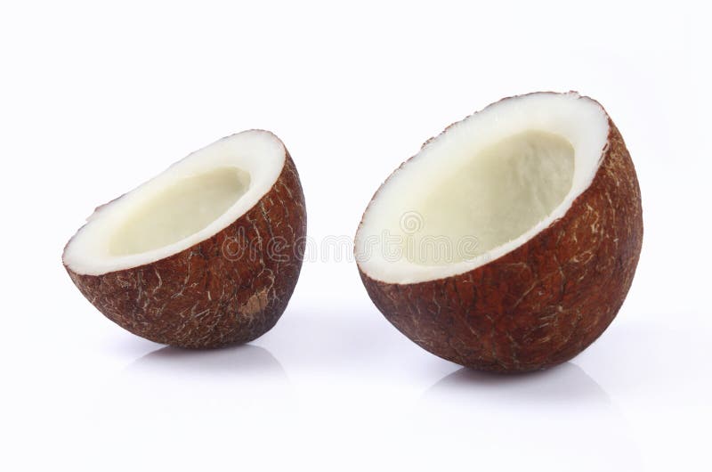 Coco secado indio foto de archivo. Imagen de secado, tropical - 18857358