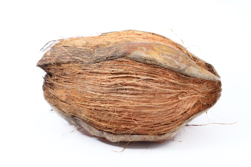 Coco Seco Aislado De Fondo Blanco Foto de archivo - Imagen de fruta ...