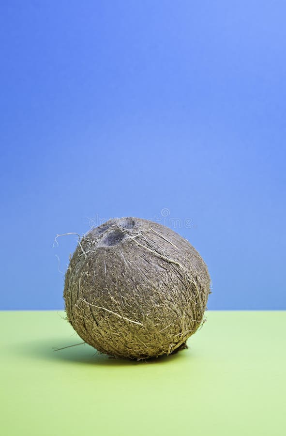 Coco tropical cerrado foto de archivo. Imagen de coco - 30569724