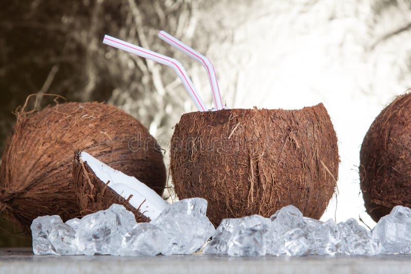 Coco tropical imagem de stock. Imagem de fresco, porca - 150826331