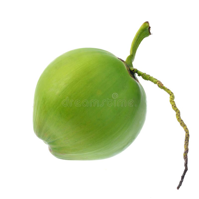 Coco Verde Aislado En El Fondo Blanco Foto de archivo - Imagen de shell ...