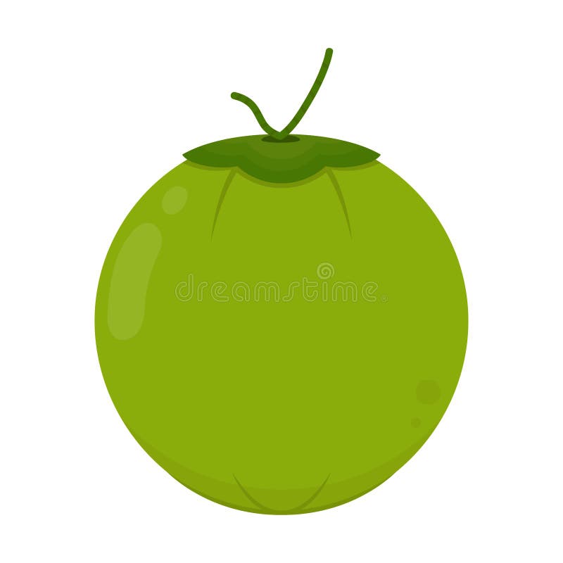 Coco Verde. Design Do Logotipo Coco. Ilustração do Vetor - Ilustração ...