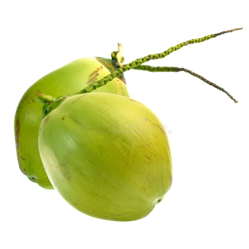 Coco Verde Isolado No Fundo Branco Imagem de Stock - Imagem de leite ...