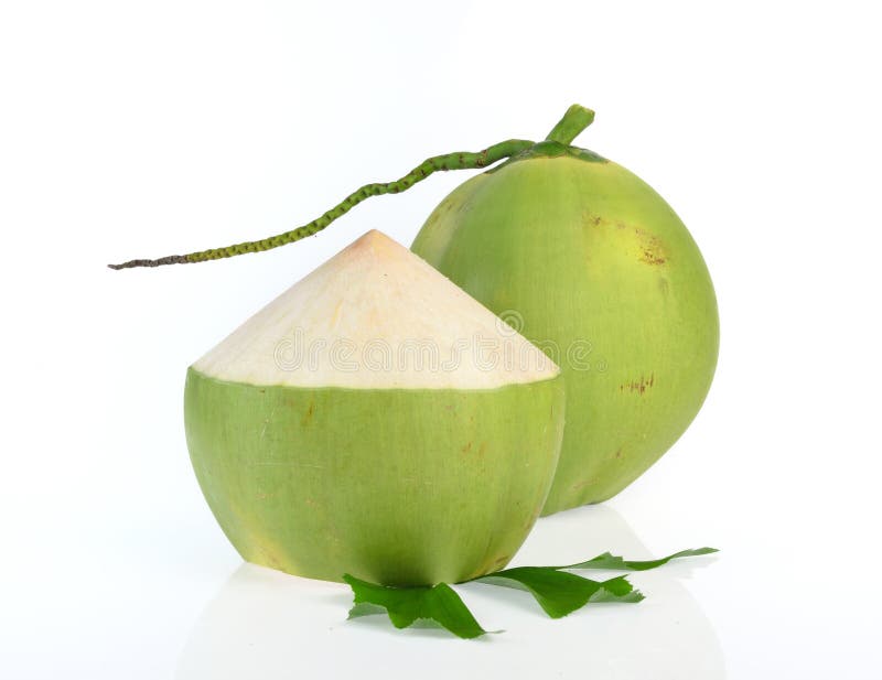 Fruto Verde Do Coco Isolado No Fundo Branco Imagem de Stock - Imagem de ...