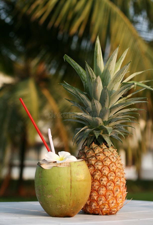 Coco y piña foto de archivo. Imagen de tropical, exterior - 12975092