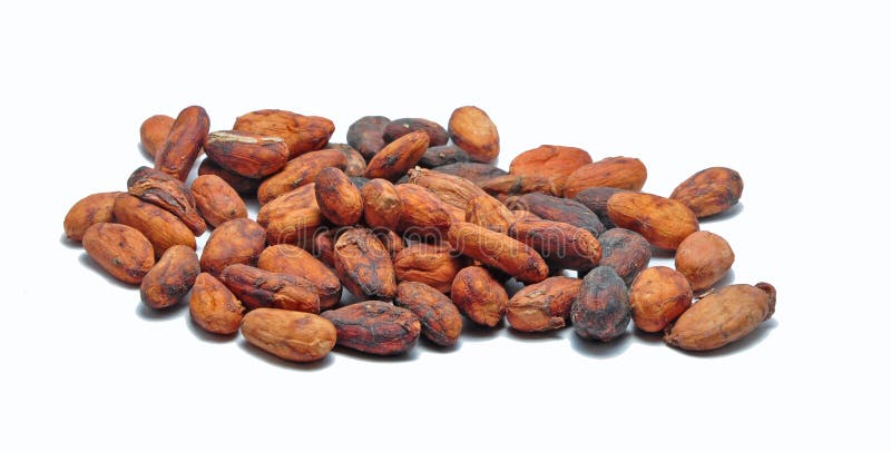 Raw cacao beans stock photo. Image of cocoa, energy, beans - 9894530