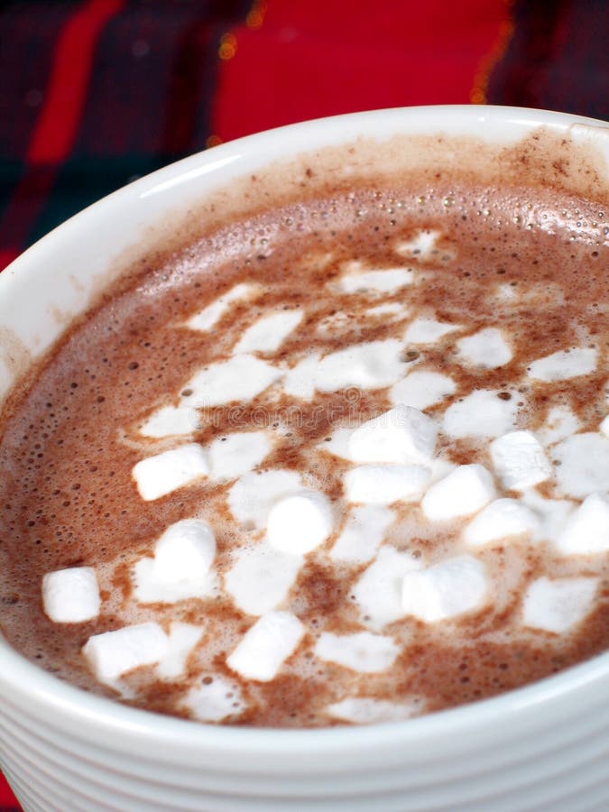 Cocoa stock image. Image of marshmallows, beverage, winter - 323873