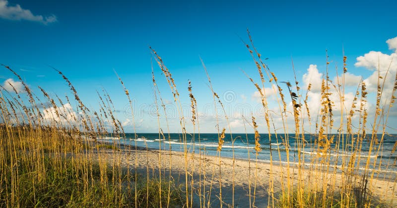 Cocoa Beach stock image. Image of idyllic, beauty, sand - 34739693