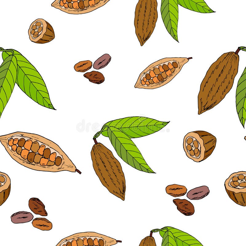 Cocoa Bean Leaf Seamless Pattern Stock Illustrations – 527 Cocoa Bean ...