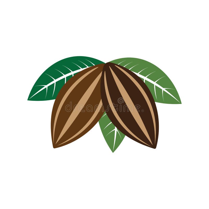 Cocoa, Cocoa Bean Logo Vector Stock Vector - Illustration of seed ...