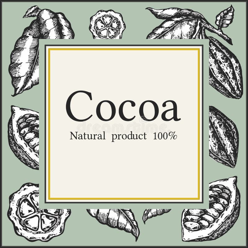 Cocoa Bean Tree Design Template. Engraved Style Illustration. Chocolate ...