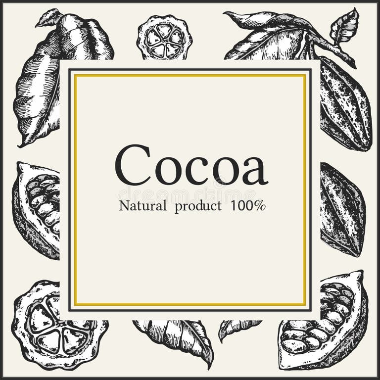 Cocoa Bean Tree Design Template. Engraved Style Illustration. Chocolate ...