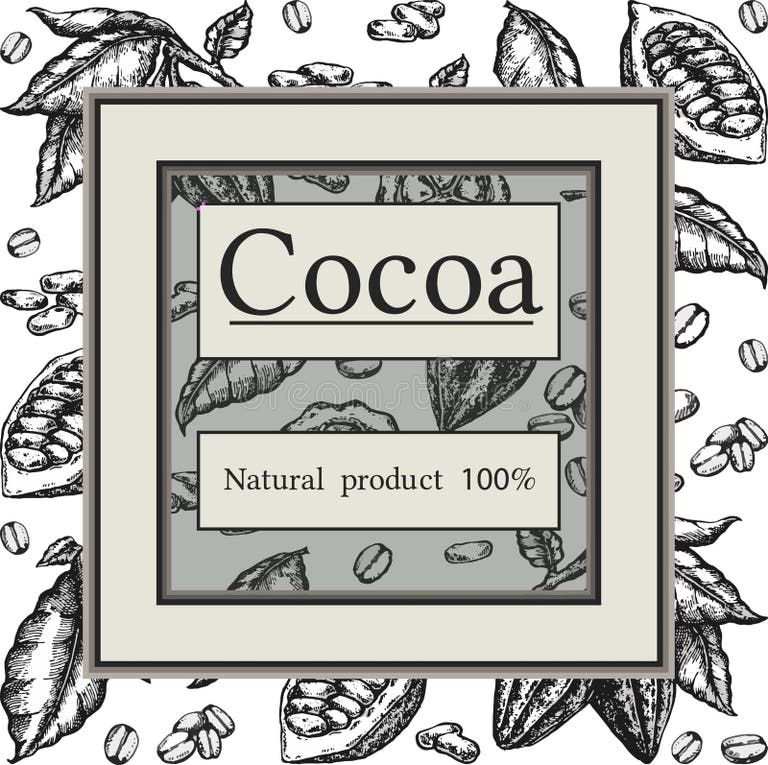 Cocoa Bean Tree Design Template. Engraved Style Illustration. Chocolate ...