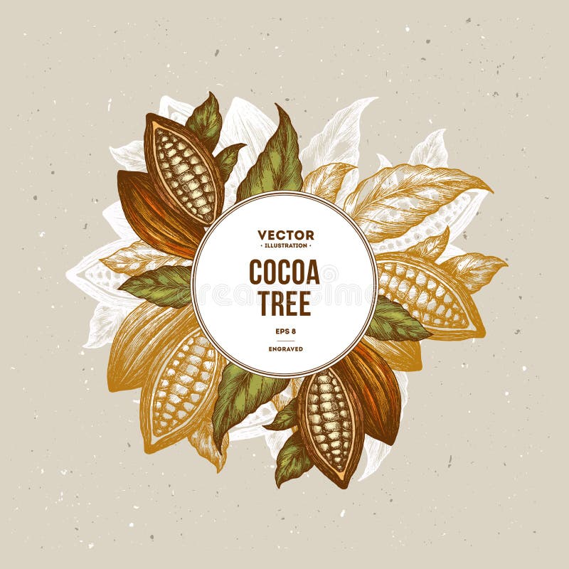 Cocoa Bean Tree Design Template. Engraved Style Illustration. Chocolate ... Cocoa Bean Tree Design Template. Engraved Style Illustration. Chocolate ...