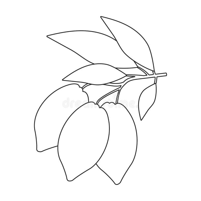 Cocoa Outline Stock Illustrations – 3,794 Cocoa Outline Stock ...